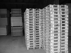 One way pallets | ADLERPACK - All types of wood packaging